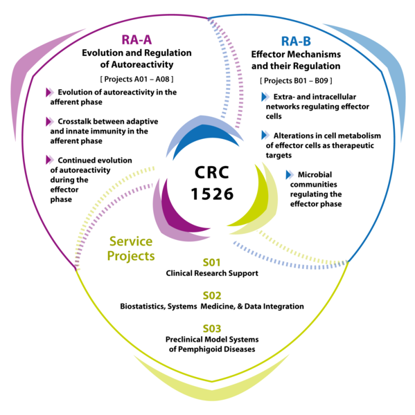 Aims of the CRC 1526: SFB 1526